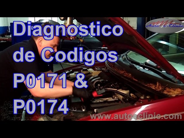 Guía completa: CÓDIGOS DTC OBDII p0171 y p0174 en Ford | Soluciones y ...